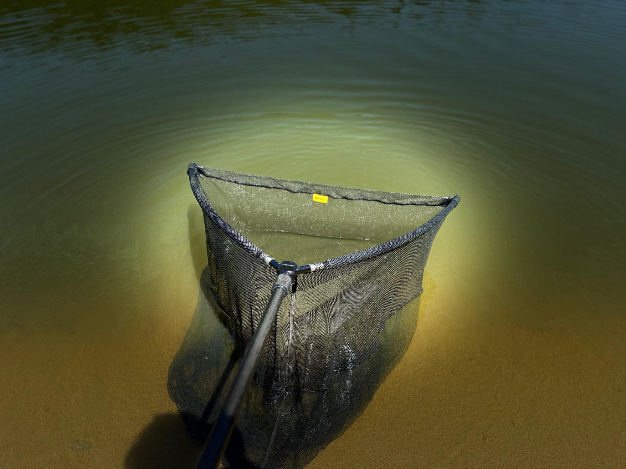 Karpfenkescher kaufen – Fencl® Carp Premium im Test & Auswahl-Tipps